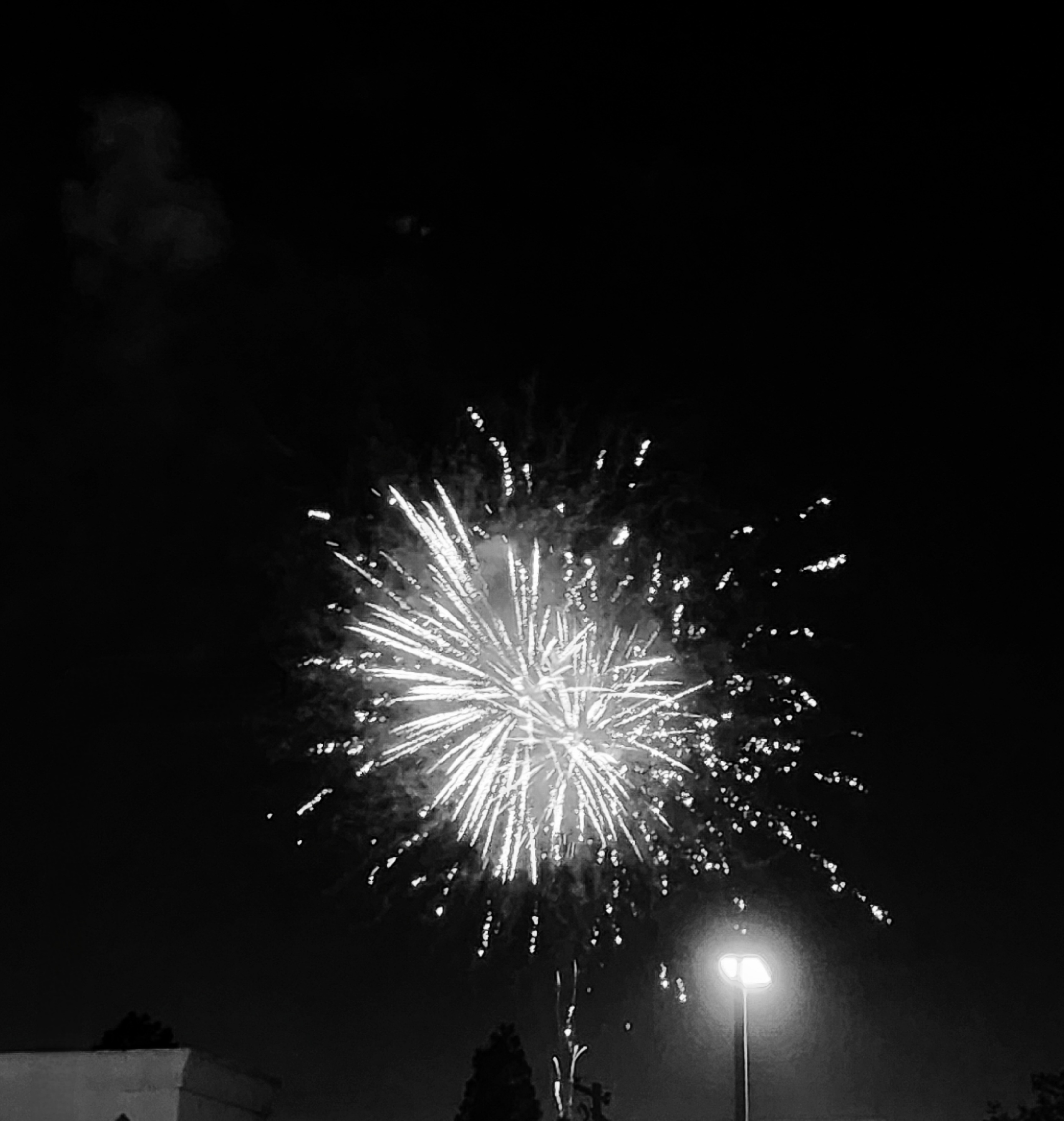Monochrome Monday: 7-10-’23. Fireworks on the 4th – sing like wildflowers