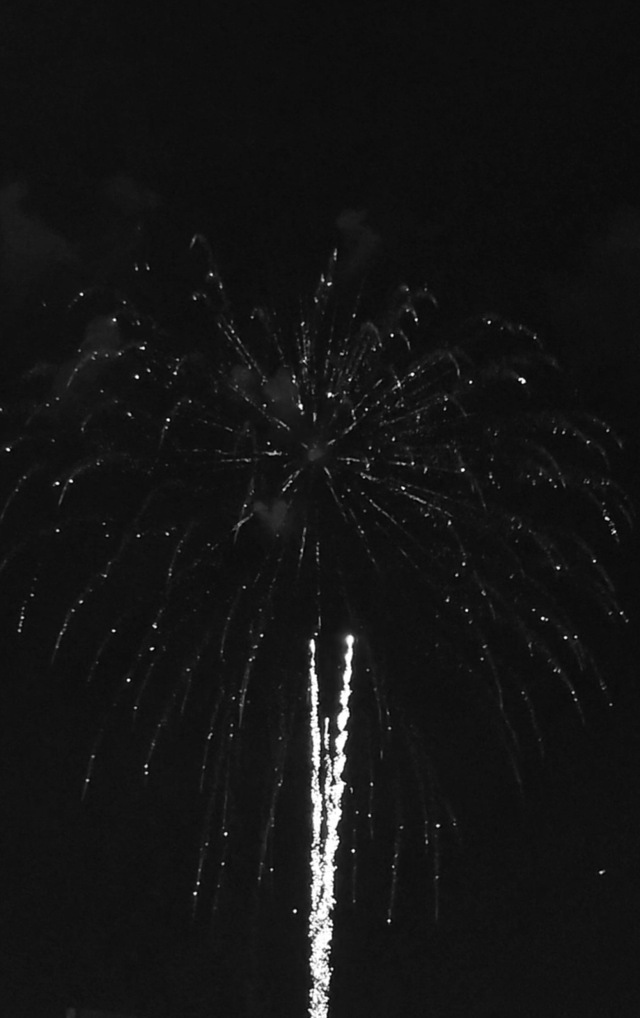 Monochrome Monday: 7-10-’23. Fireworks on the 4th – sing like wildflowers
