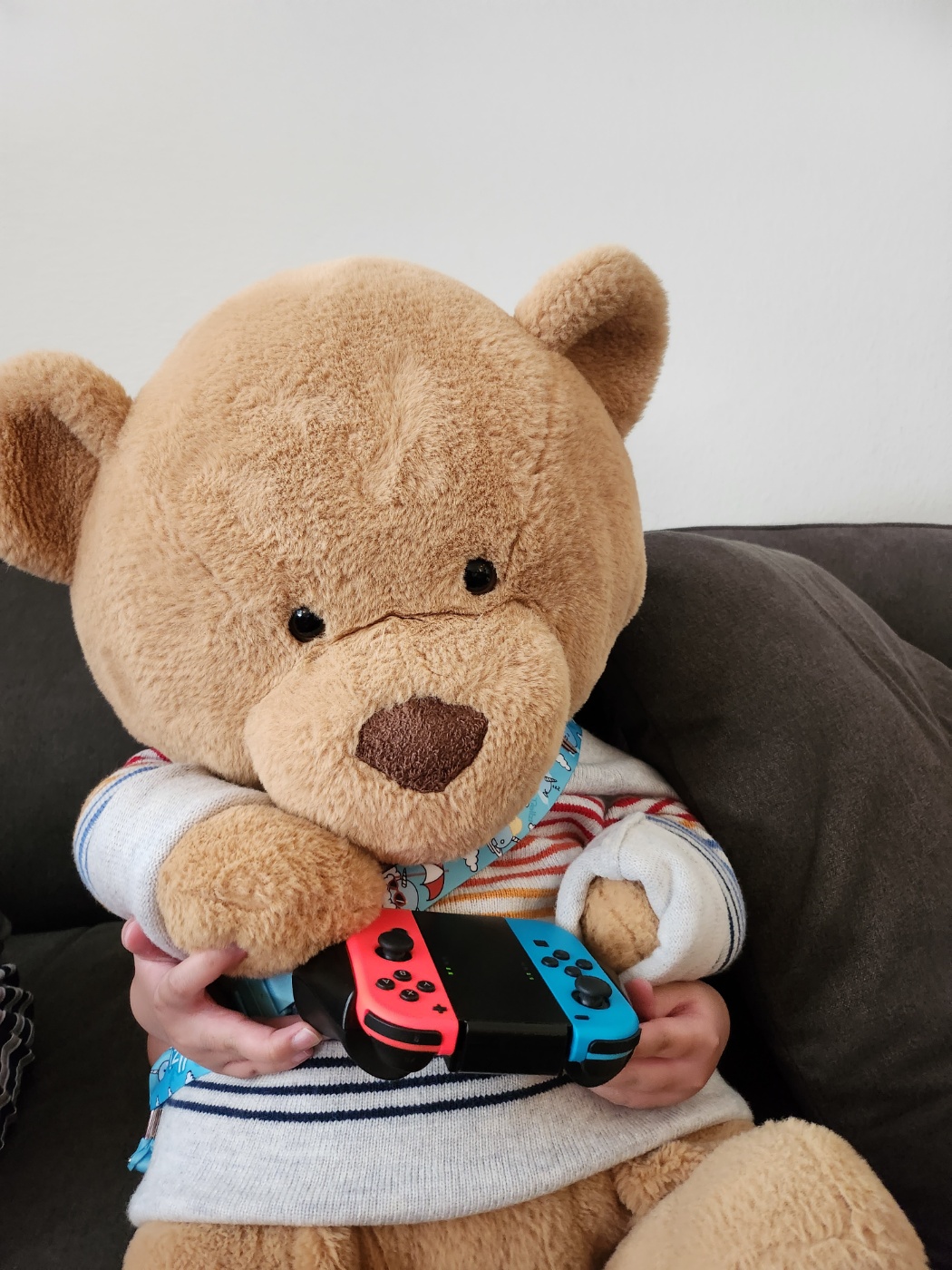 Mayor bear plays Nintendo – sing like wildflowers