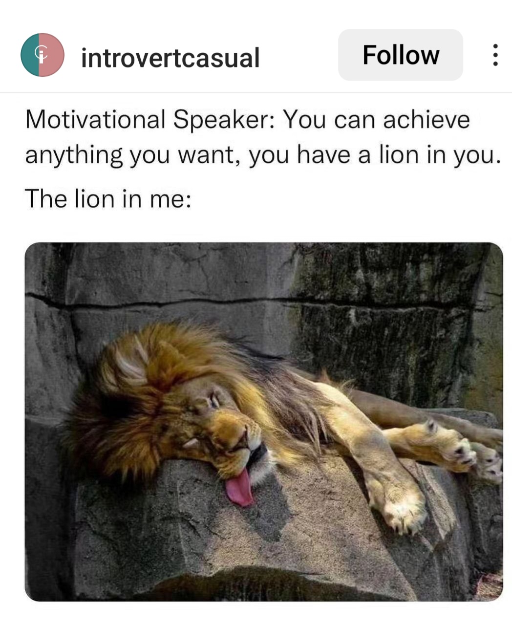 Funny Insta post – sing like wildflowers
