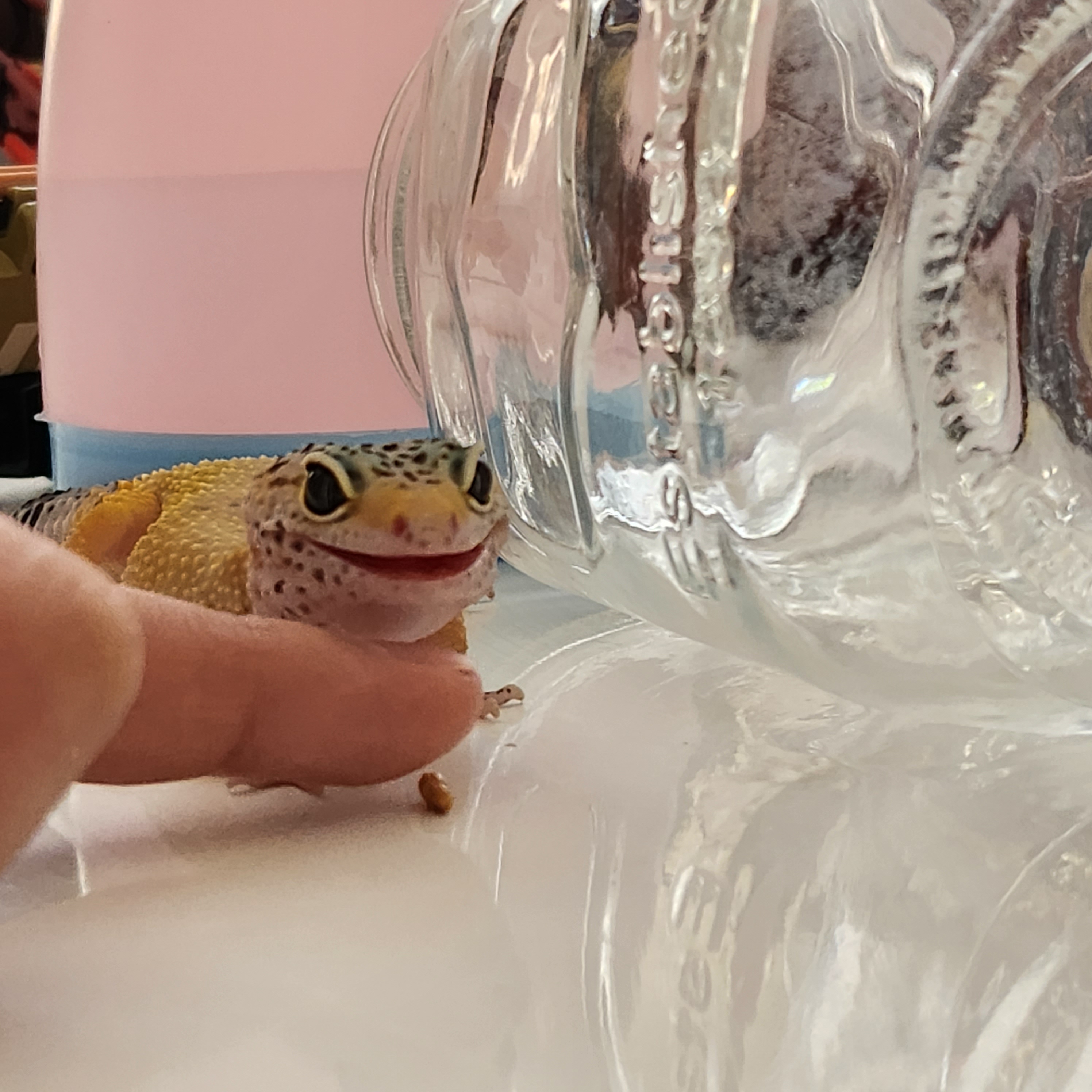 Dart feeling goofy. A smile for you! – sing like wildflowers