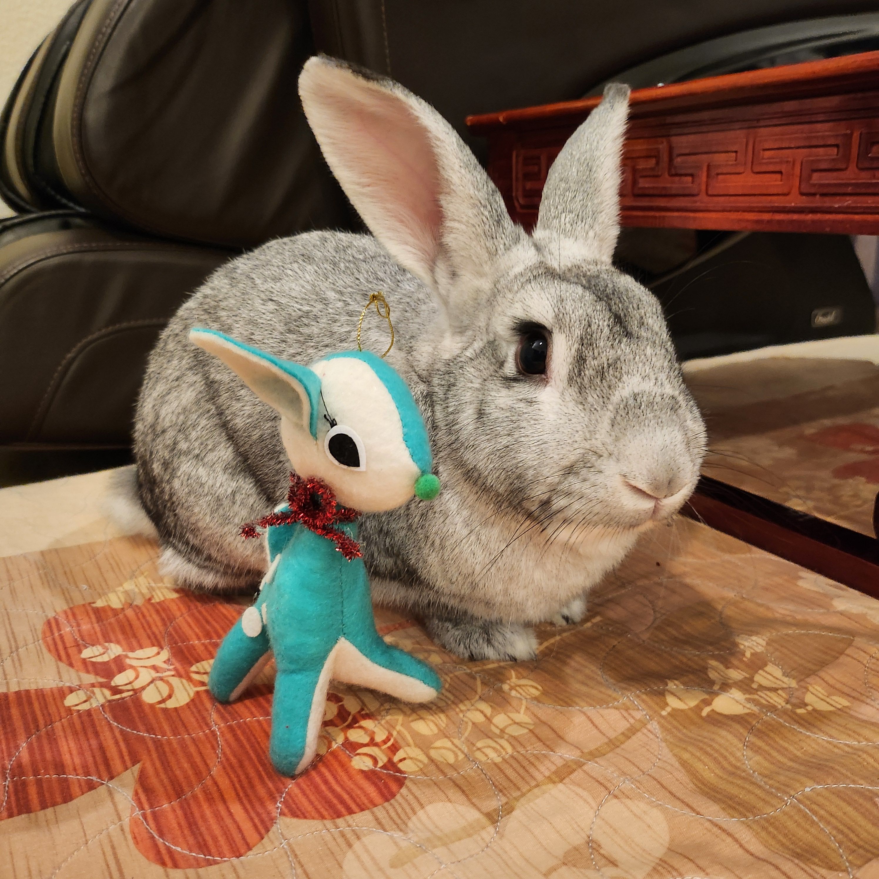 Diamond, the fancy rabbit – sing like wildflowers