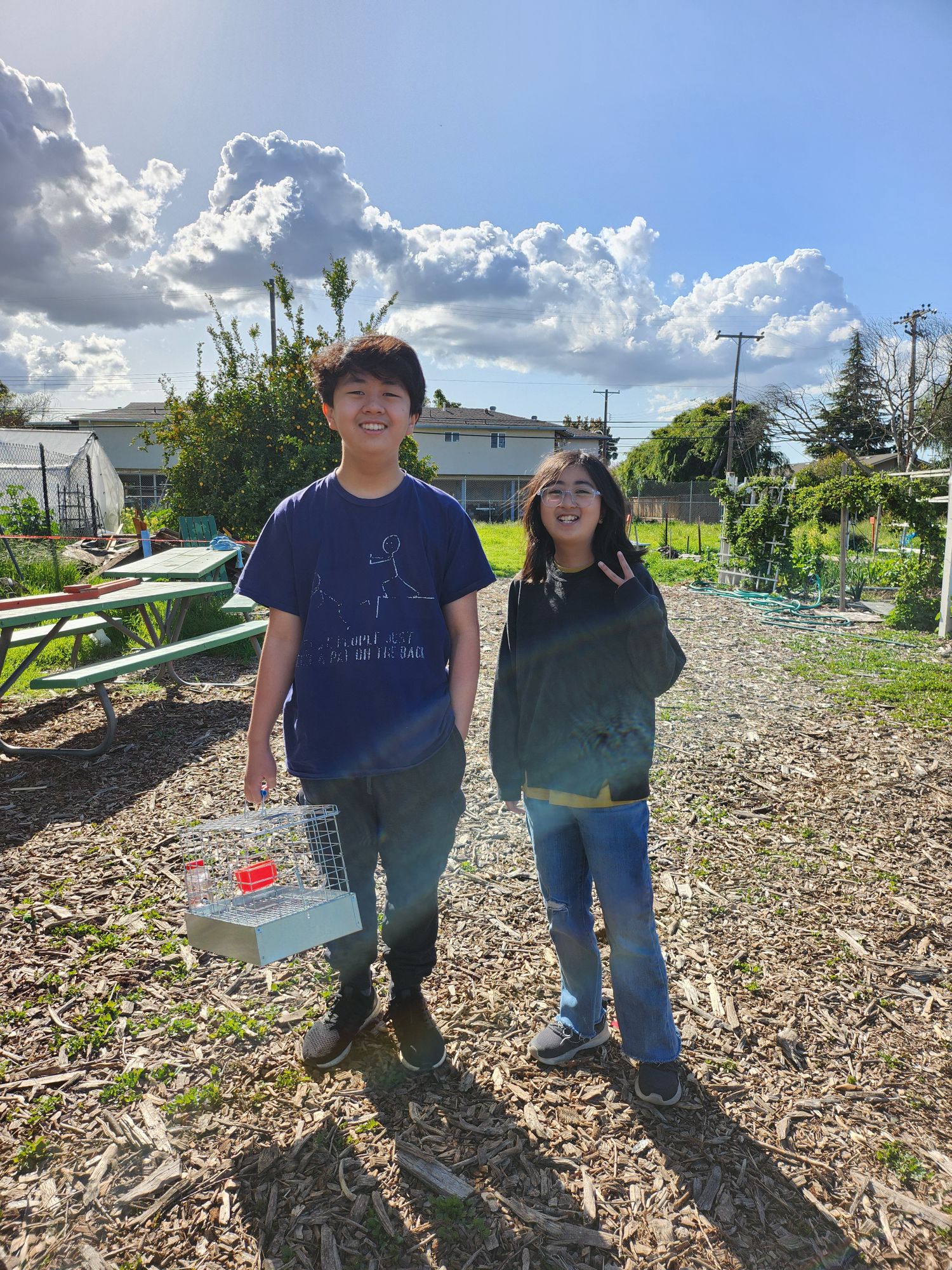 Introducing our new fuzzball rabbit – sing like wildflowers