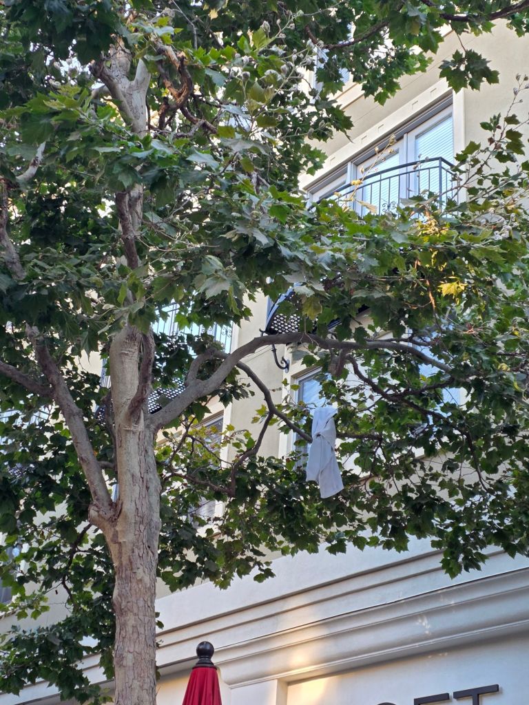 Wordless Wednesday: Hanging out to dry – sing like wildflowers