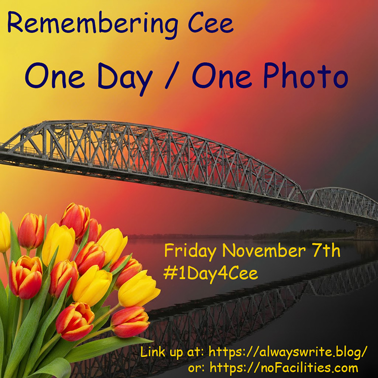 Remembering Cee – sing like wildflowers
